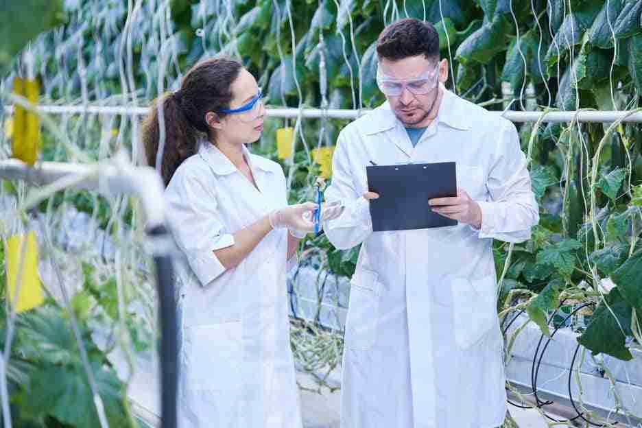 IEAG Abag - CONFIRA OS NOSSOS PROJETOS E PESQUISAS!