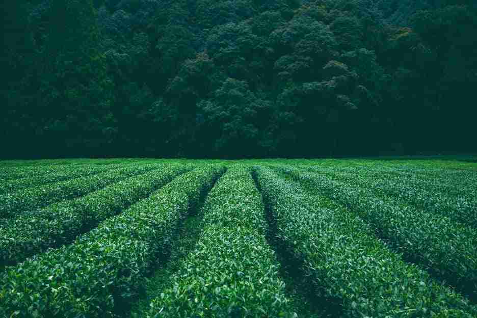 Institucional Abag - CONHEÇA NOSSA HISTÓRIA!